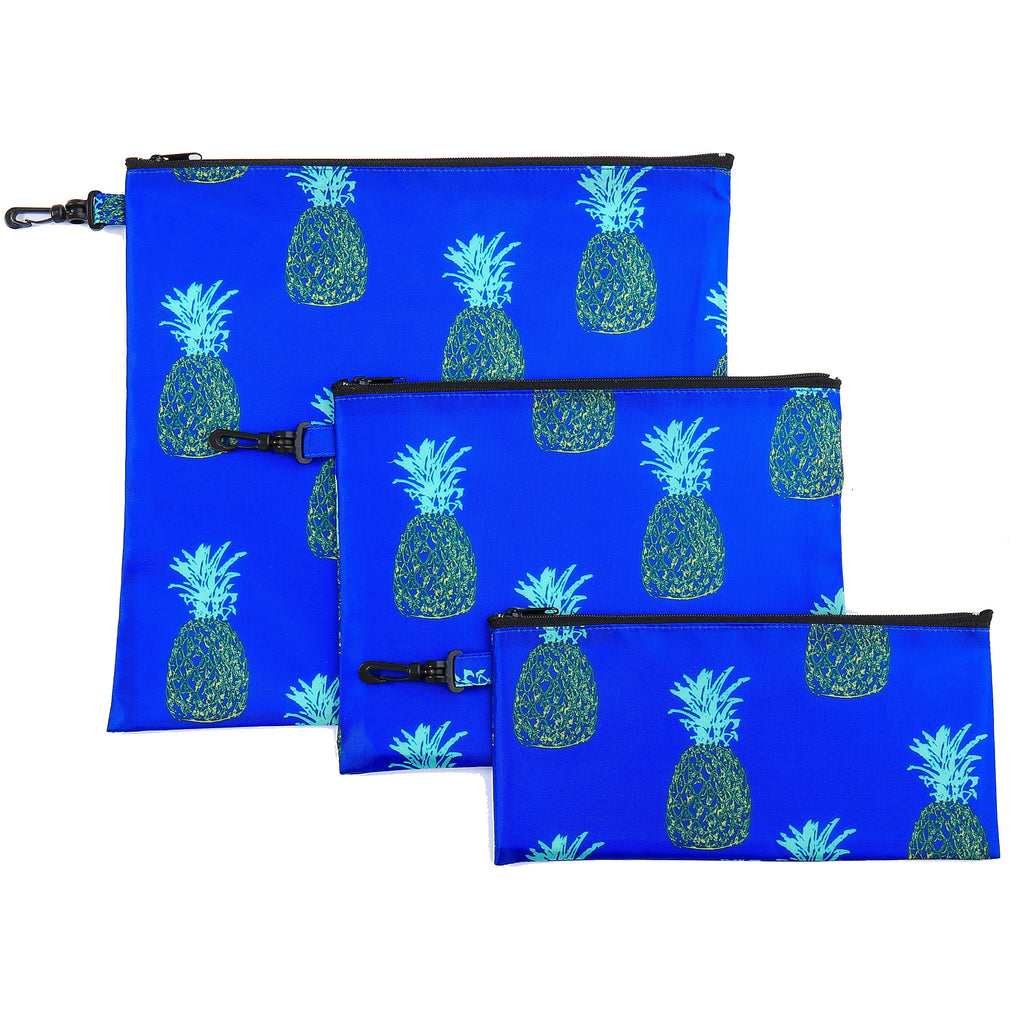 Pineapple Pouch Set – EnV Bags